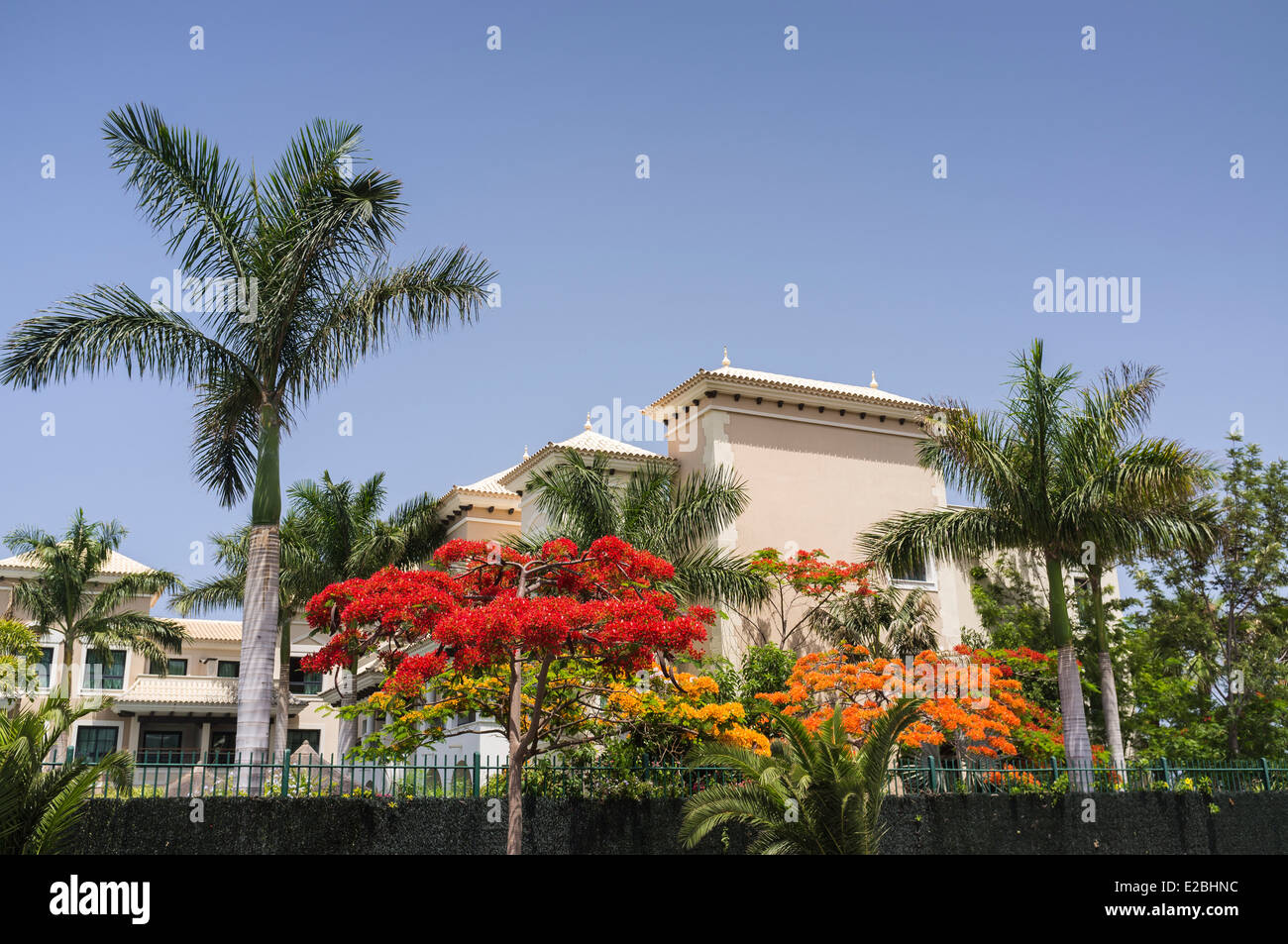 Tree growing around fence High Resolution Stock Photography and Images ...