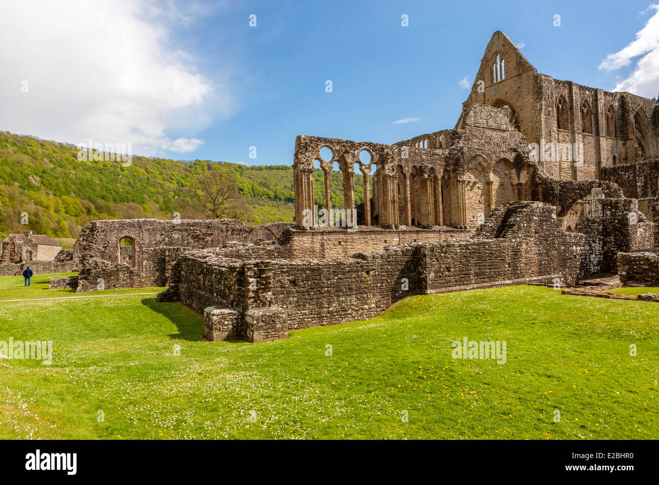 The ruins of Tintern Abbey a medieval Cistercian monastery ...