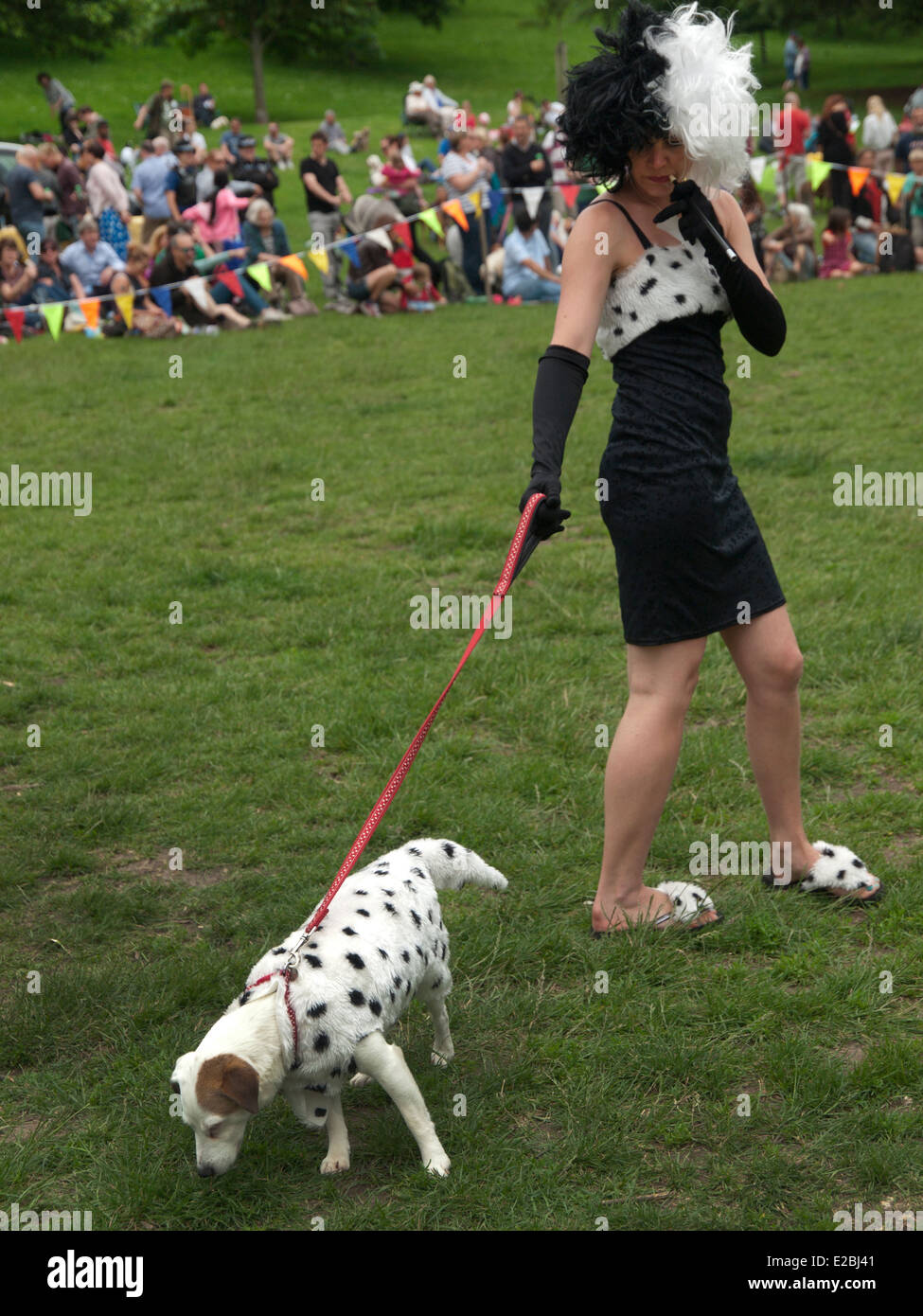 101 dalmatian dalmatians hi-res stock photography and images - Alamy
