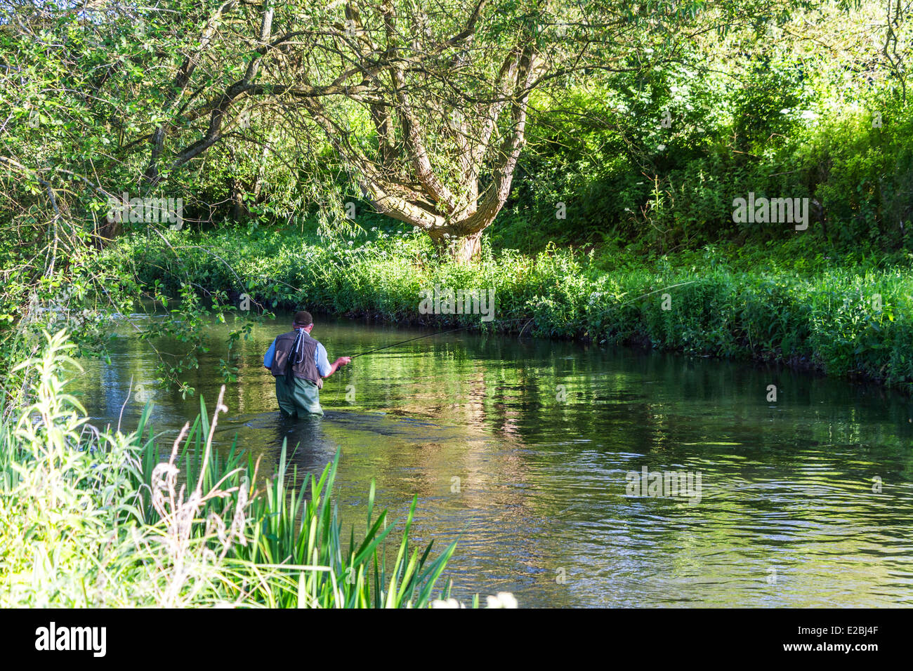 Trout fishing, River Wylye, Wiltshire, England Stock Photo - Alamy