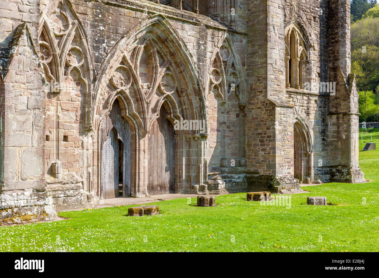 The ruins of Tintern Abbey a medieval Cistercian monastery ...