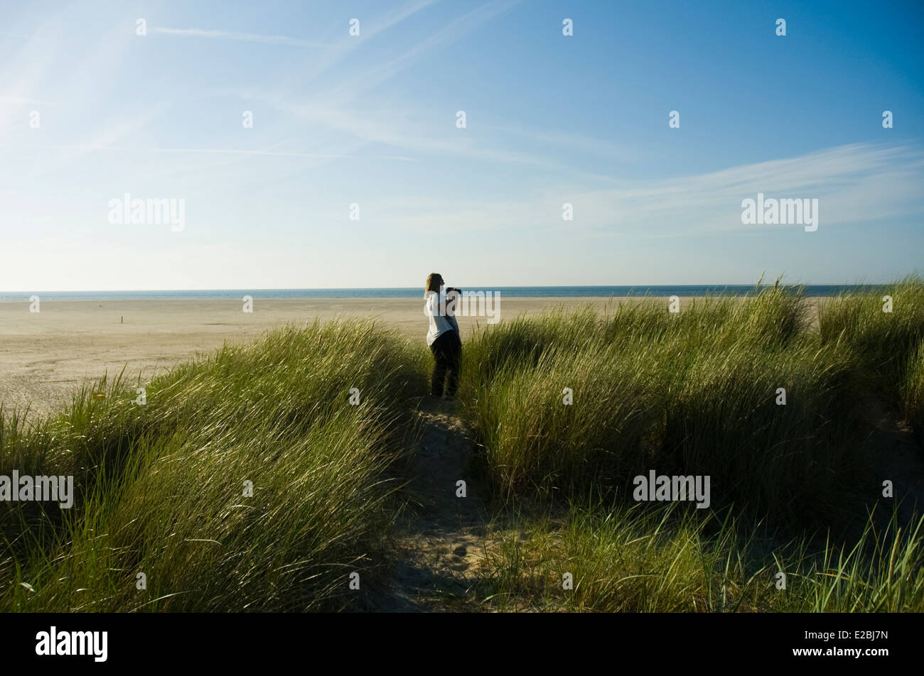 Beach. Texel Island. Friesland province. Fryslan. Netherlands. Holland ...