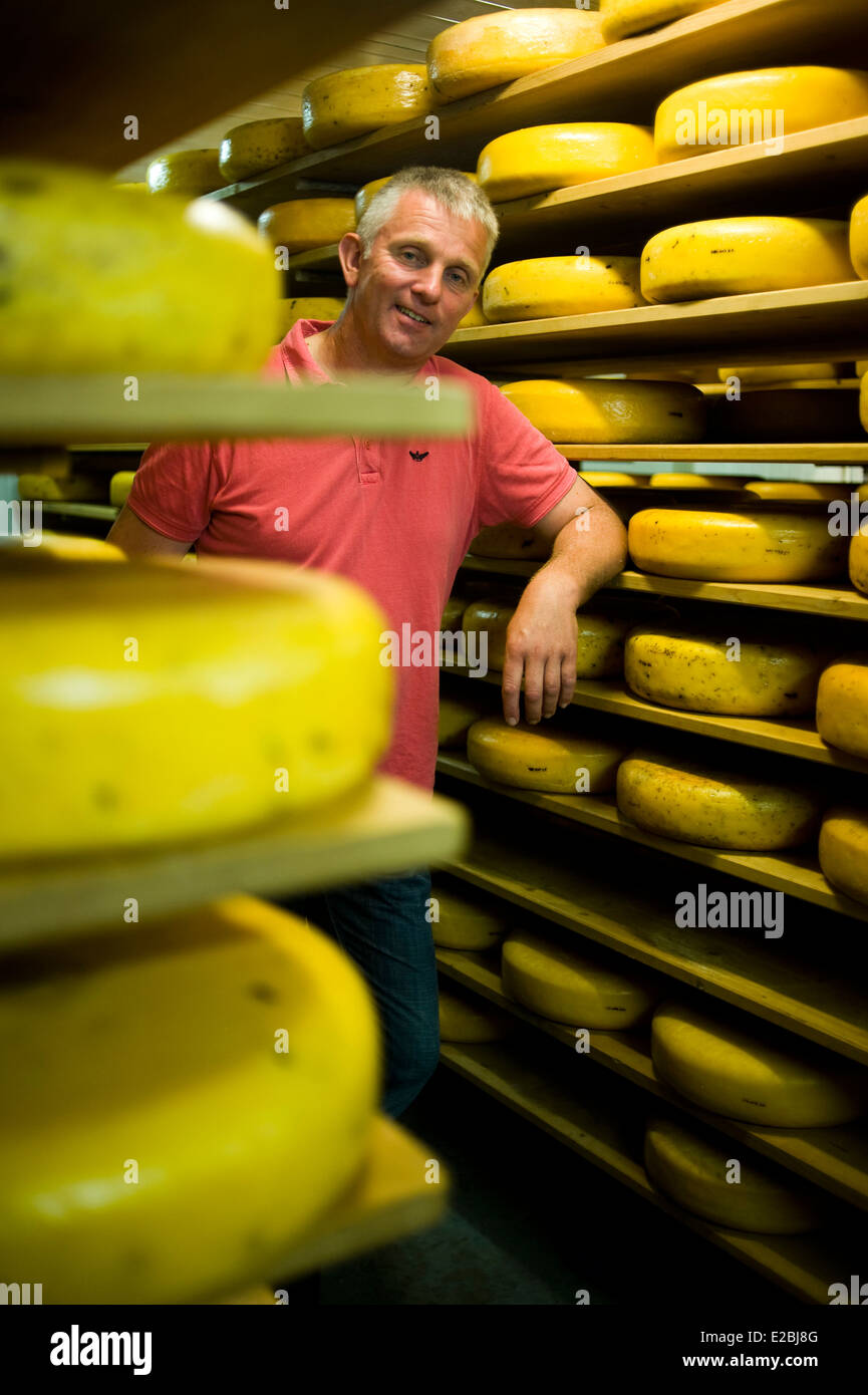 Friesland cheese farm hi-res stock photography and images - Alamy