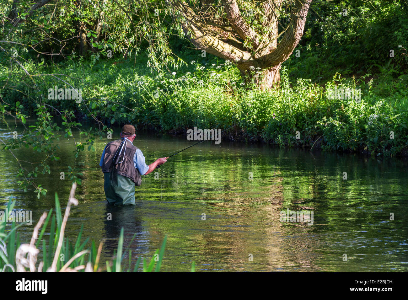 Trout chalk stream hi-res stock photography and images - Alamy