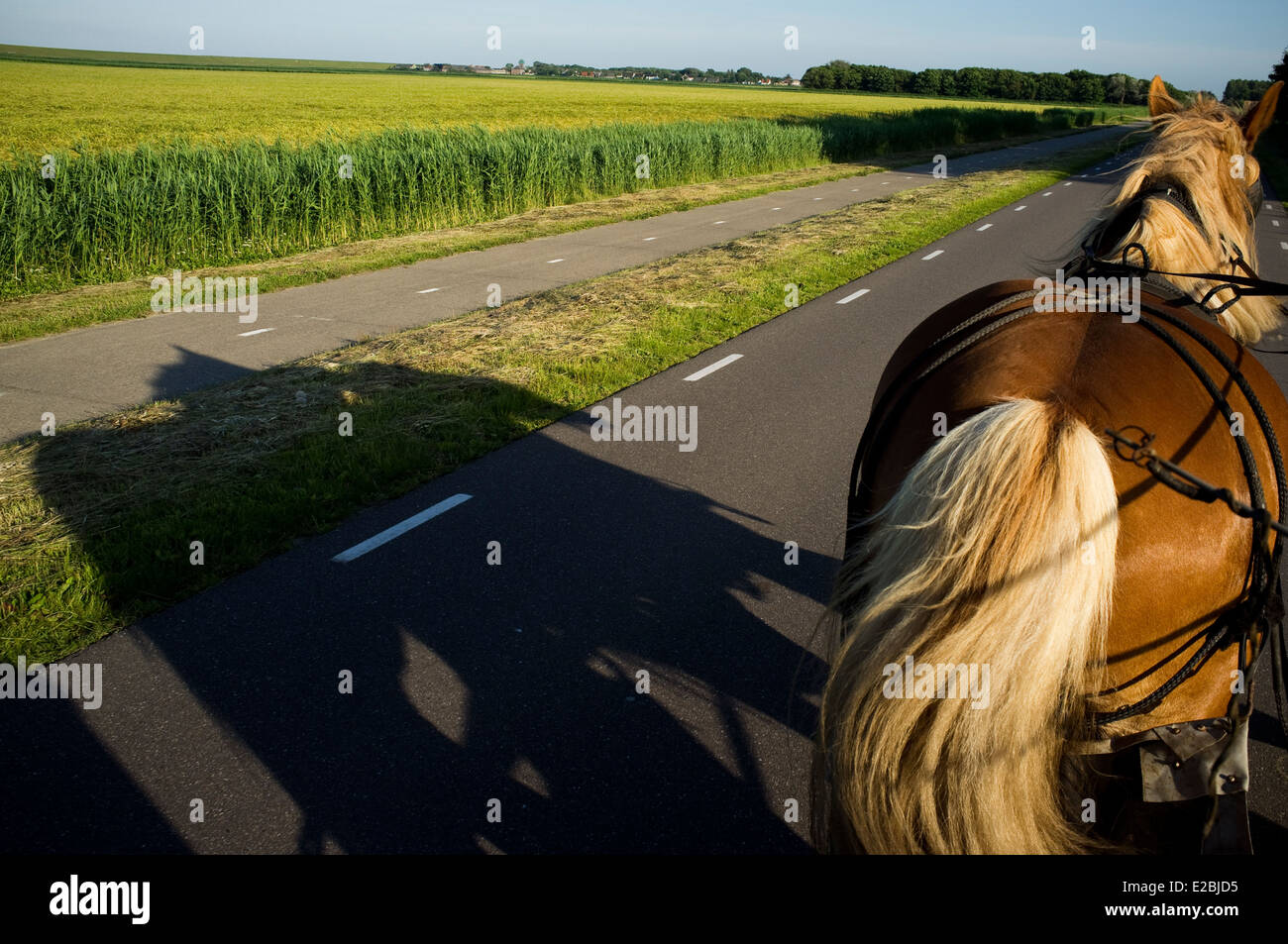Friesland fryslan netherlands hi-res stock photography and images - Alamy