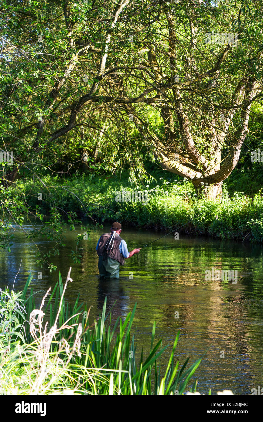 Trout fishing, River Wylye, Wiltshire, England Stock Photo - Alamy