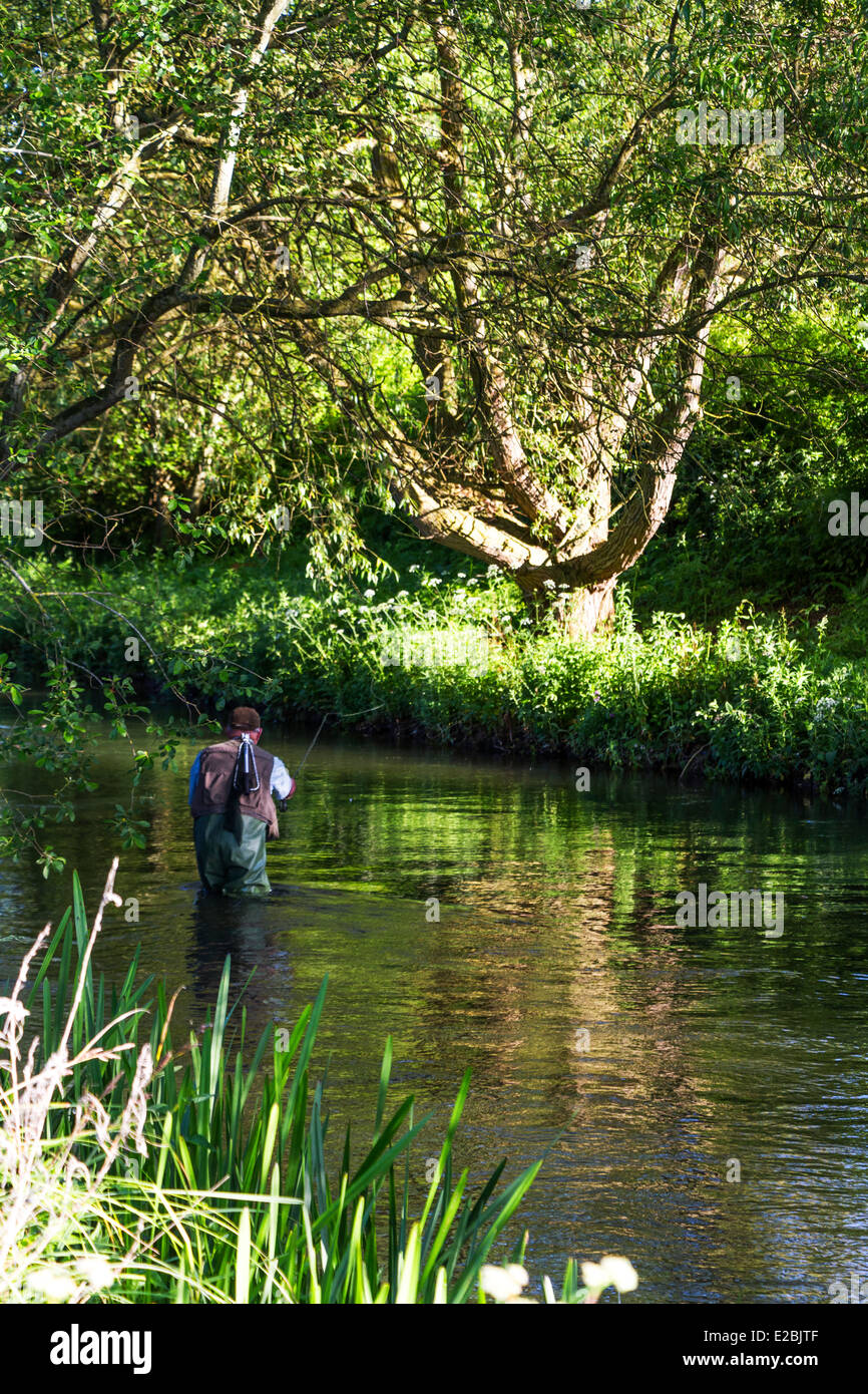 River wylye wiltshire hi-res stock photography and images - Alamy