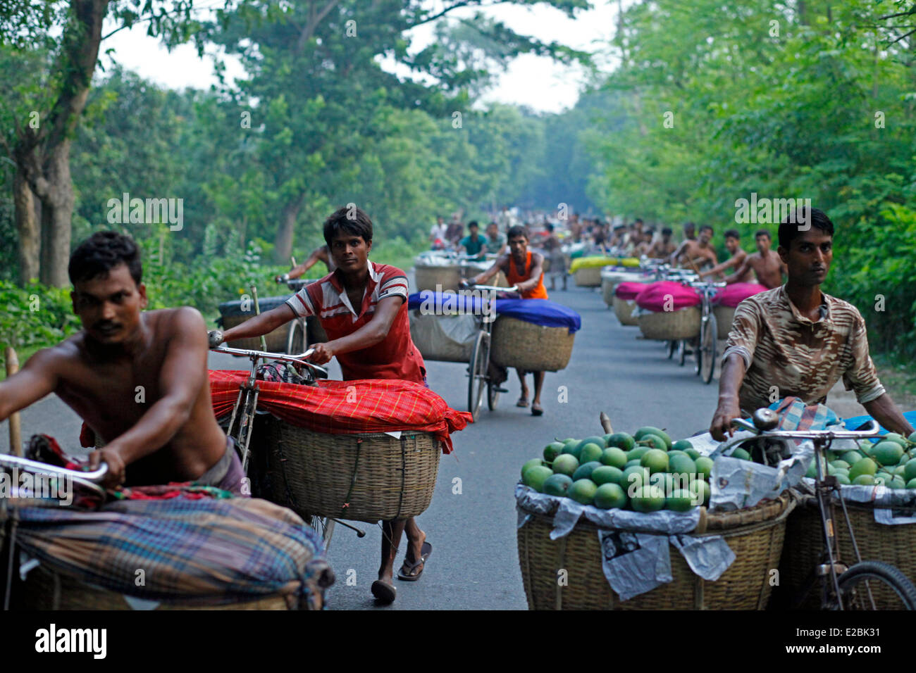 Mango market bangladesh hi-res stock photography and images - Alamy