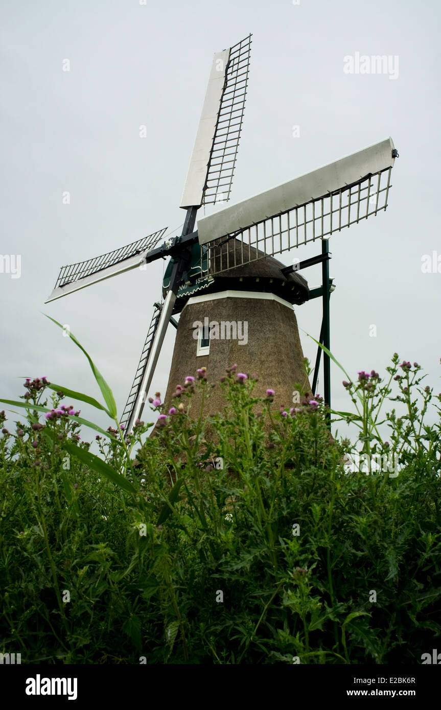 Windmill friesland netherlands hi-res stock photography and images - Alamy