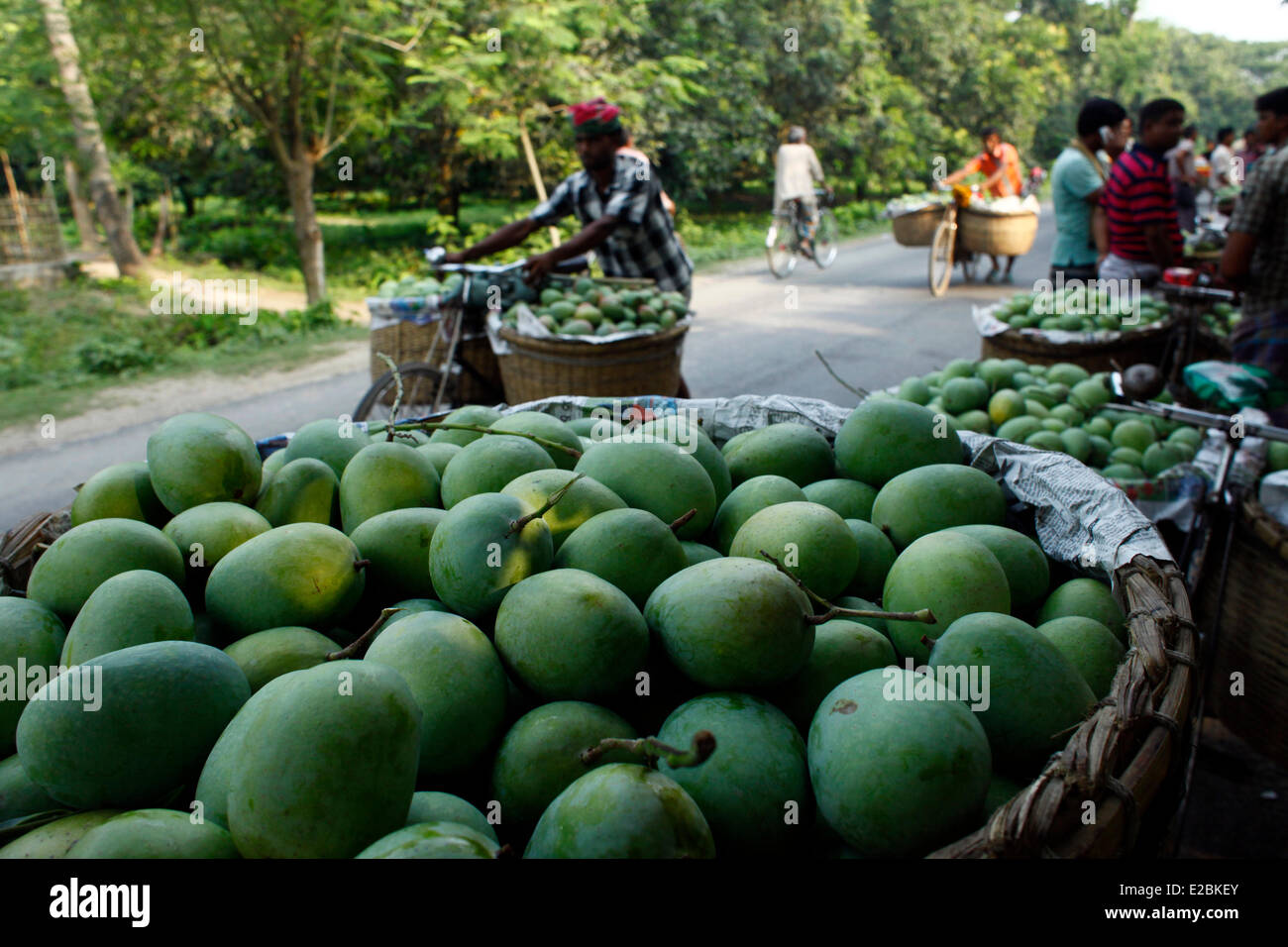 Chuldren hi-res stock photography and images - Alamy