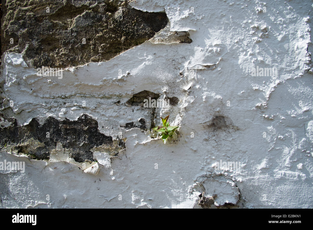 ripples in a stream Stock Photo - Alamy