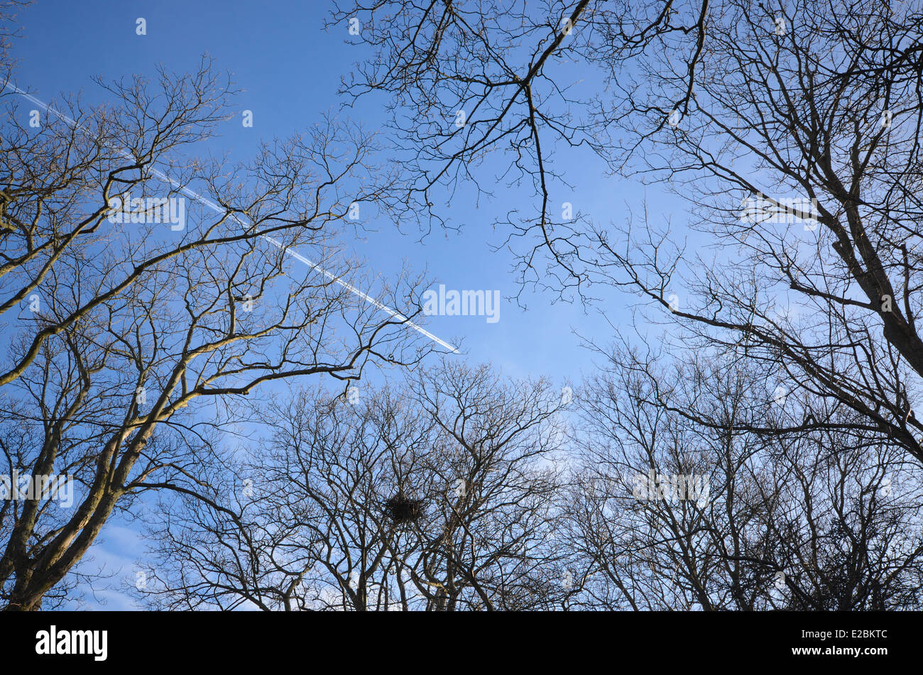 Contrail hi-res stock photography and images - Alamy