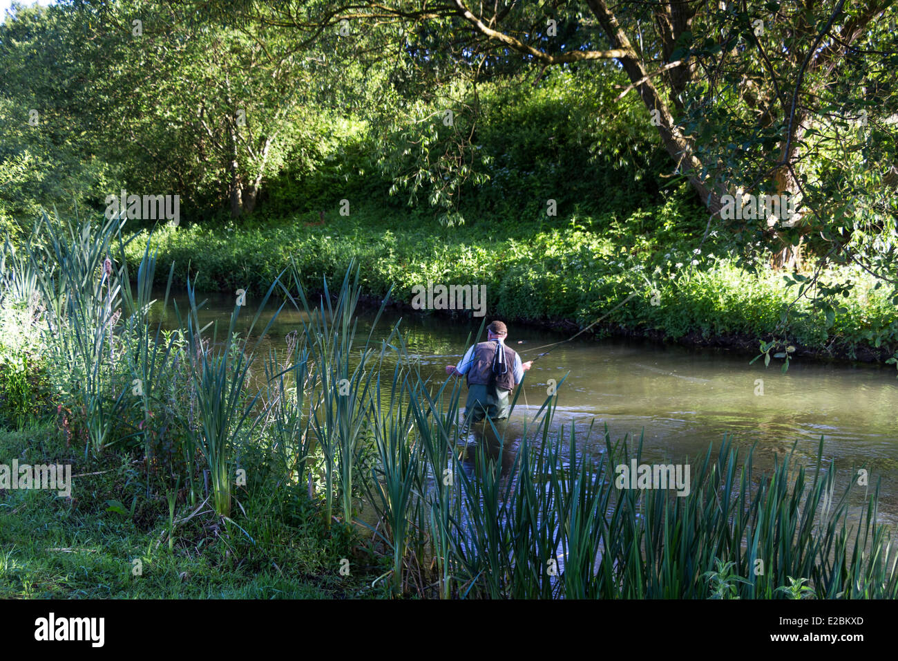 Trout fishing, River Wylye, Wiltshire, England Stock Photo - Alamy
