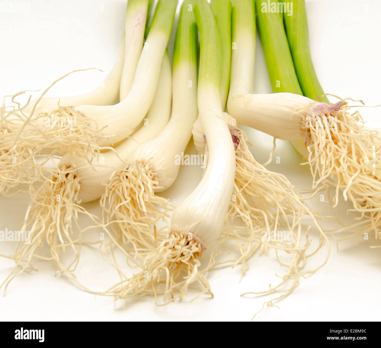 Bunch of garlic Stock Photo - Alamy
