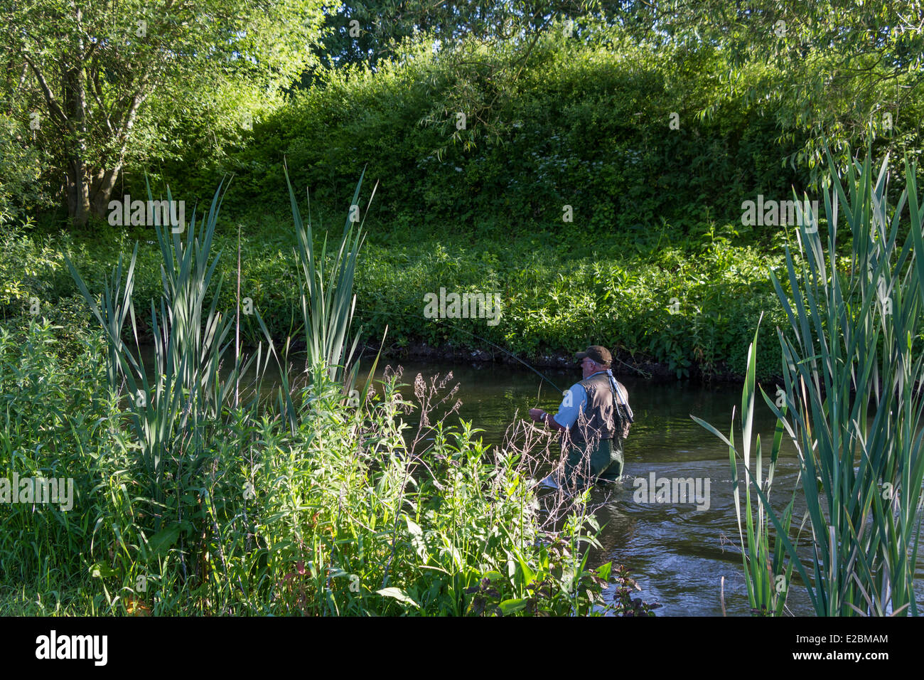 Trout fishing, River Wylye, Wiltshire, England Stock Photo - Alamy