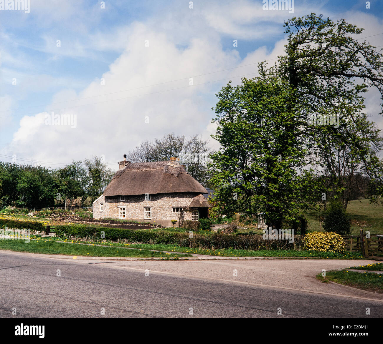 Thatched Cottage, South Wales Stock Photo - Alamy