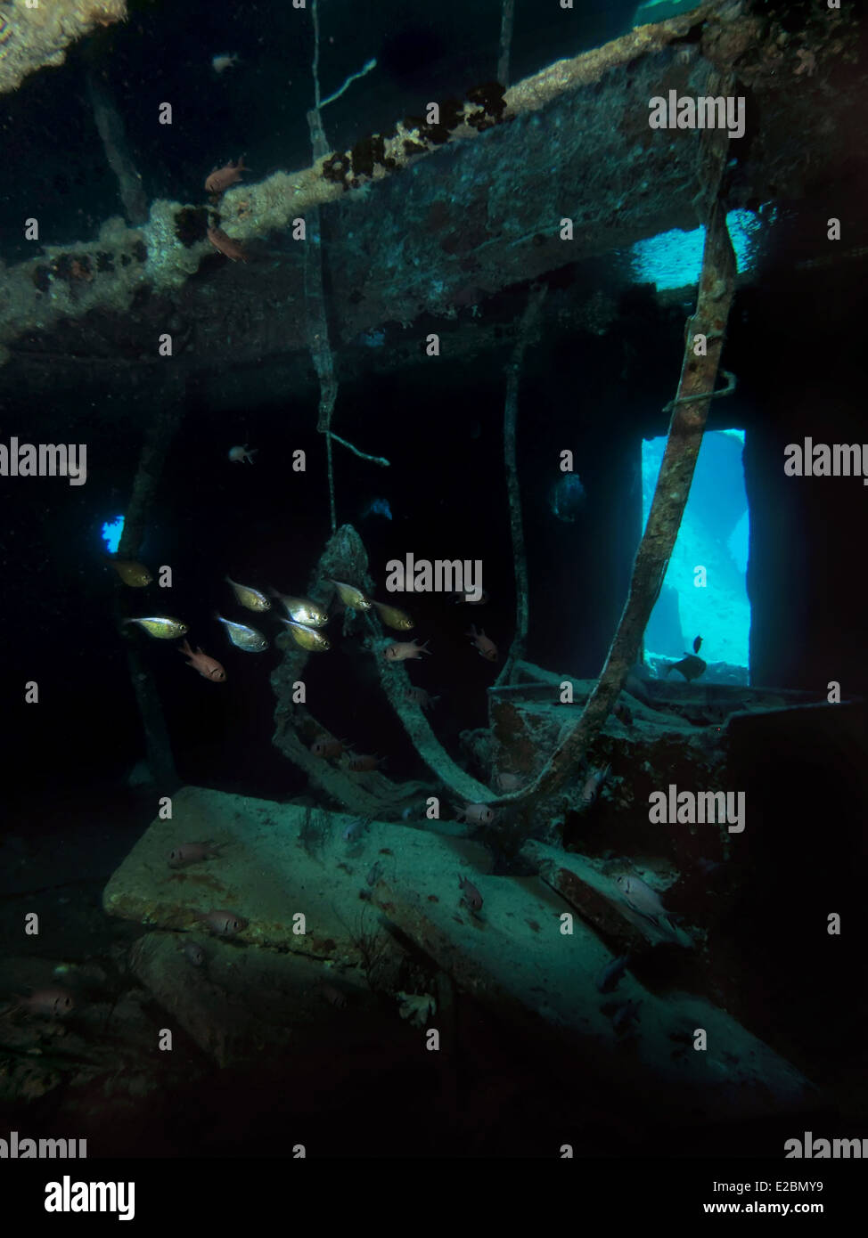 S.S. Thistlegorm Wreck, sunk on 5 October 1941 in the Red Sea and is ...