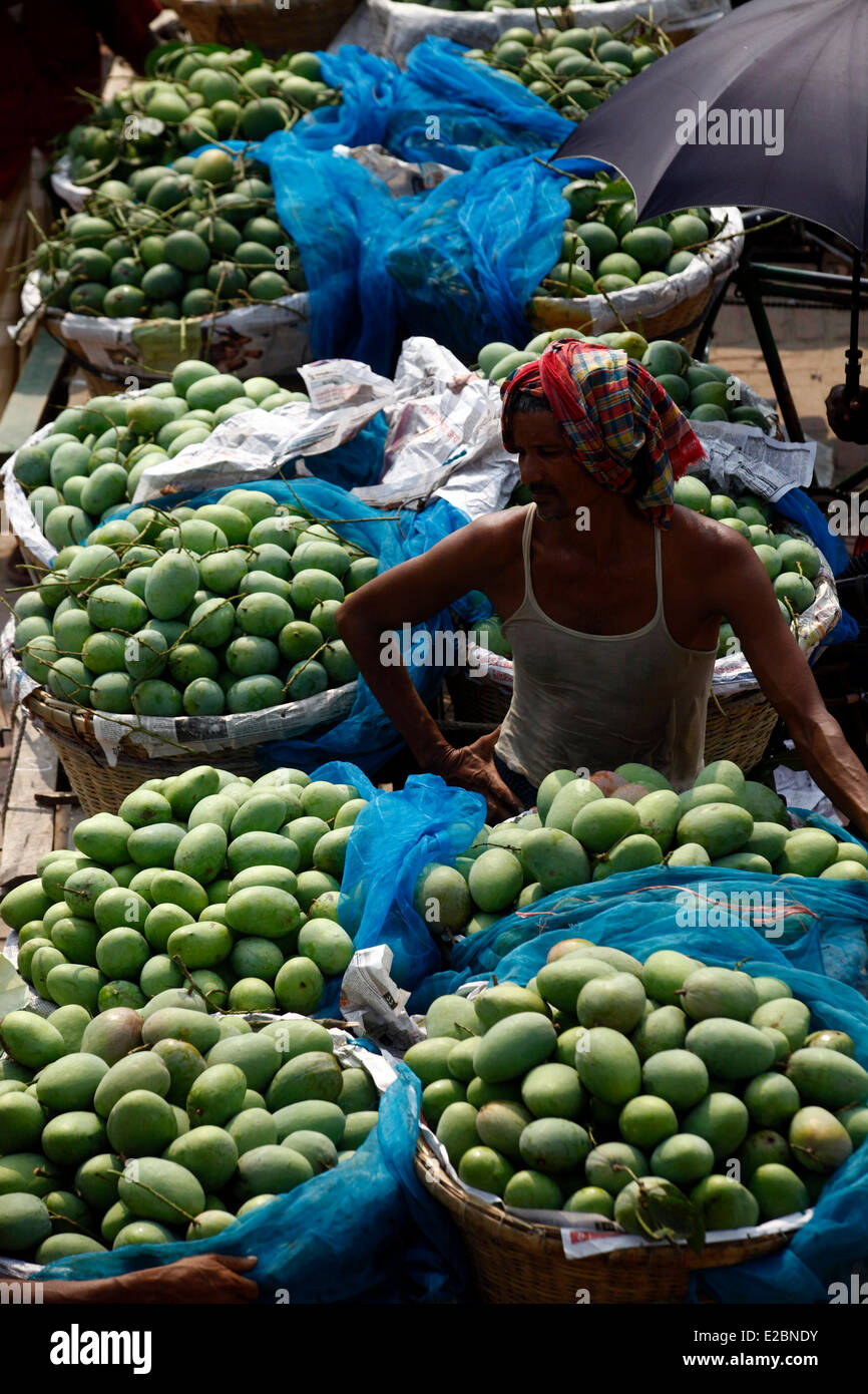 Mango garden bangladesh generally produces hi-res stock photography and ...