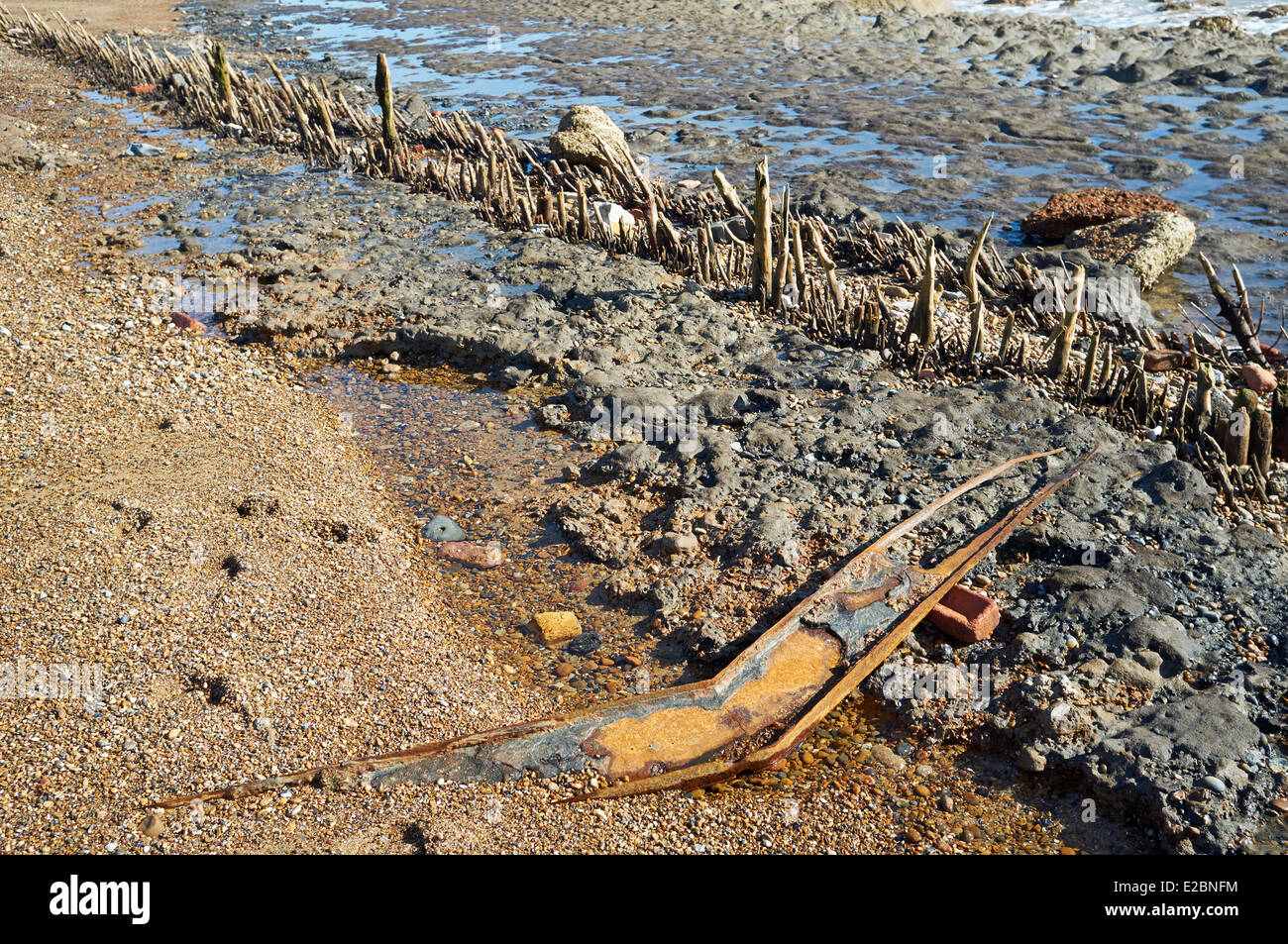 Ancient wooden fish traps and 'Dragons tooth' an anti-invasion steel ...
