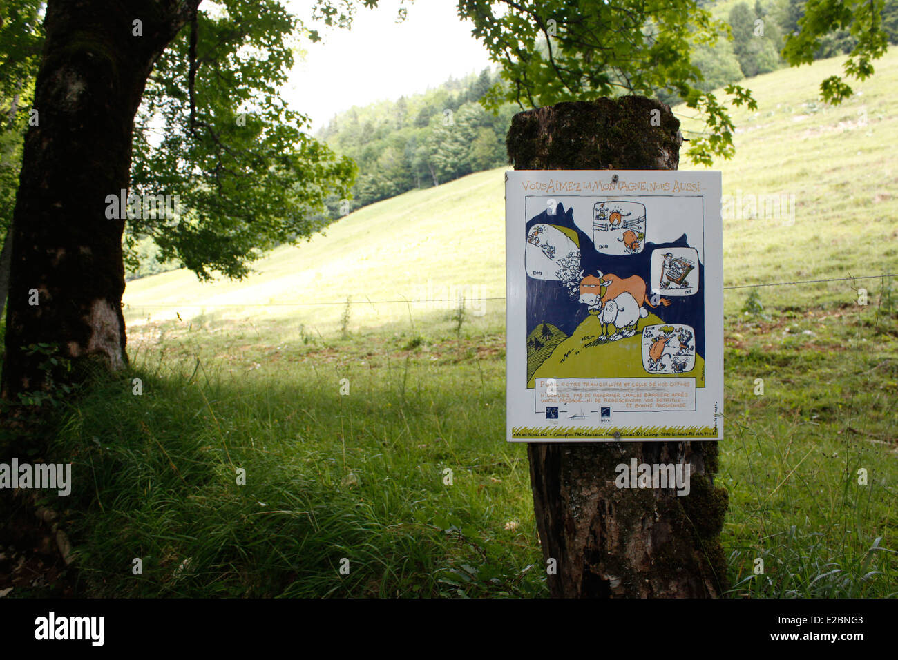 Mountain of the natural park of Chartreuse, Isere, Alps, Rhone Alpes ...