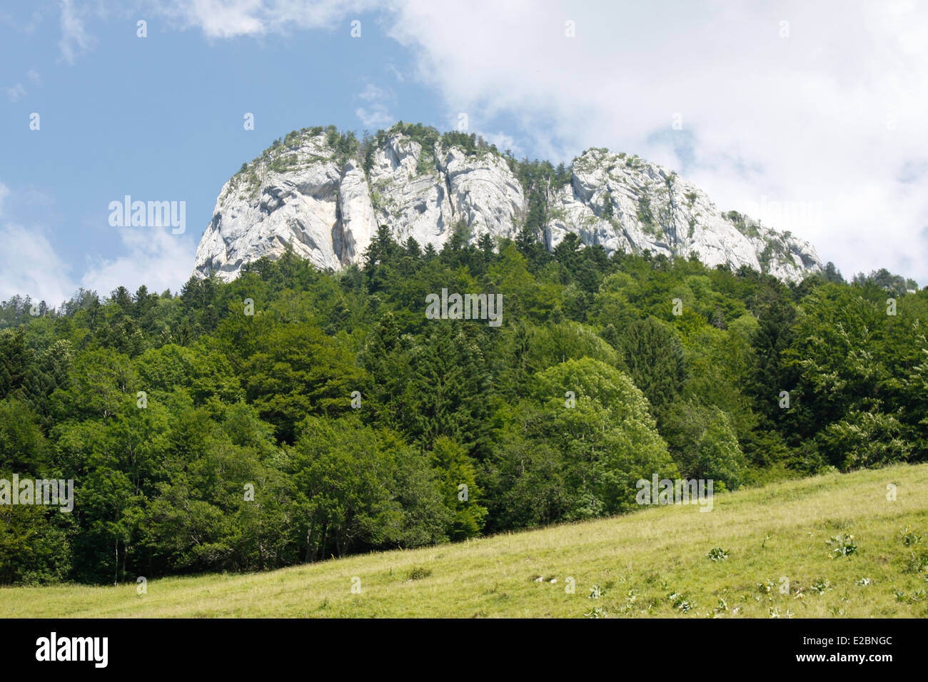 Mountain and meadow, Monastery of La Grande Chartreuse in the Alps ...
