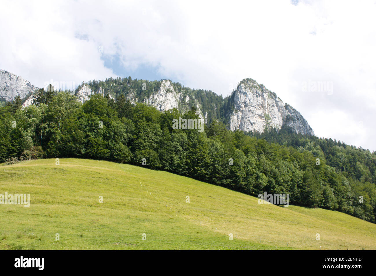 Mountain and meadow, Monastery of La Grande Chartreuse in the Alps ...