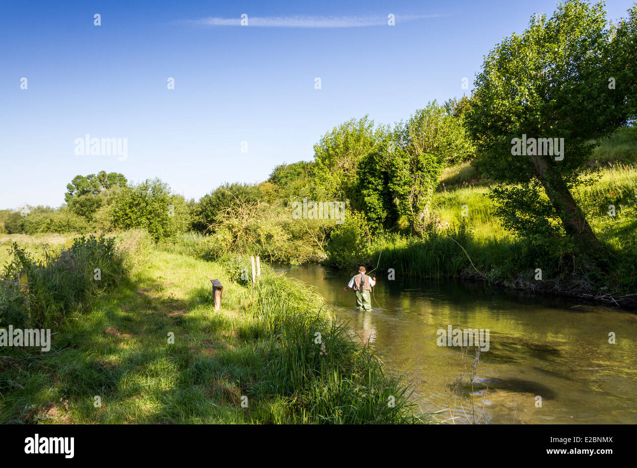 Trout fishing, River Wylye, Wiltshire, England Stock Photo - Alamy