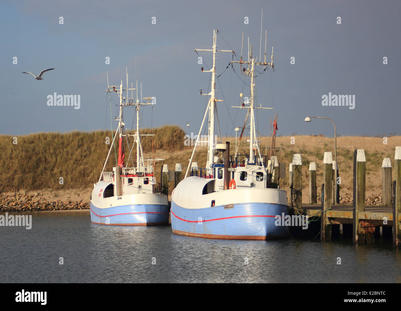 Two blue fishing boats and a seagull in industrial harbor Stock Photo ...