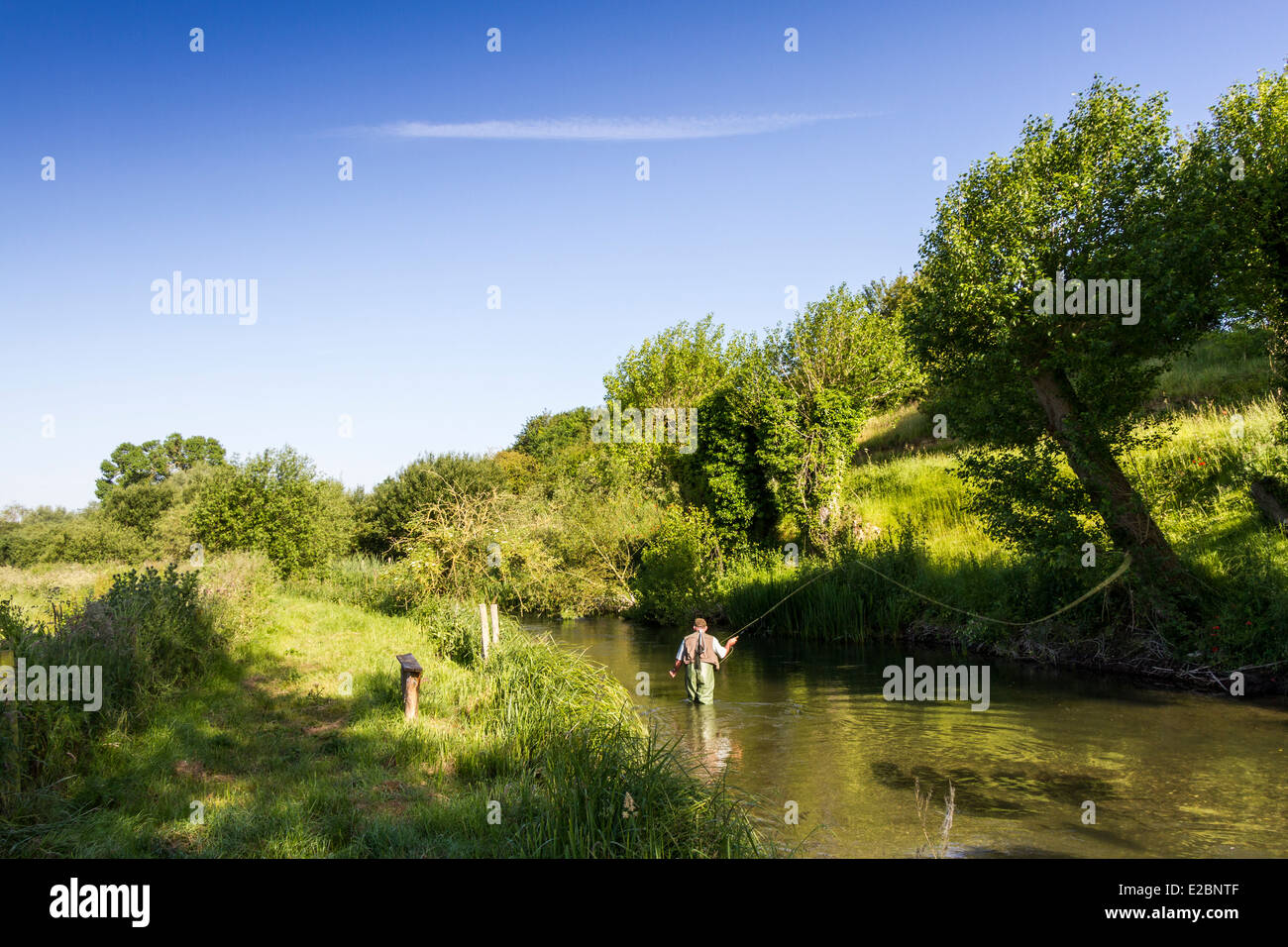 Trout fishing, River Wylye, Wiltshire, England Stock Photo - Alamy