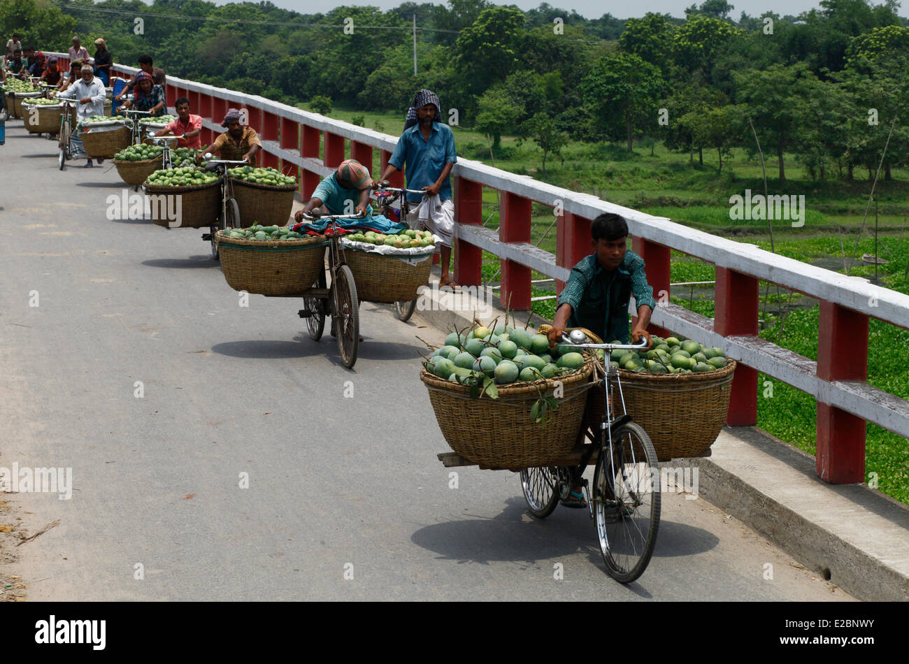 Carrying mangoes hi-res stock photography and images - Alamy