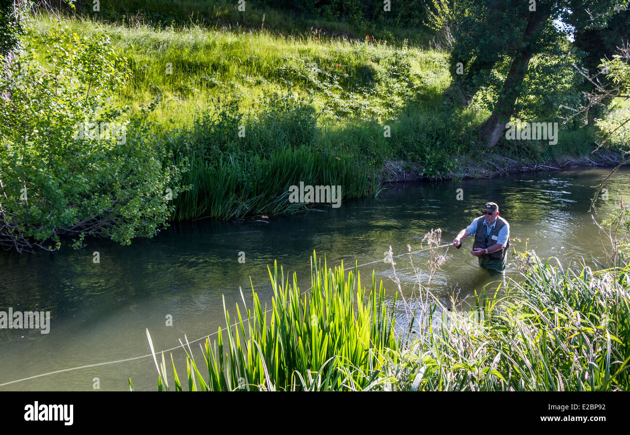Trout fishing, River Wylye, Wiltshire, England Stock Photo - Alamy