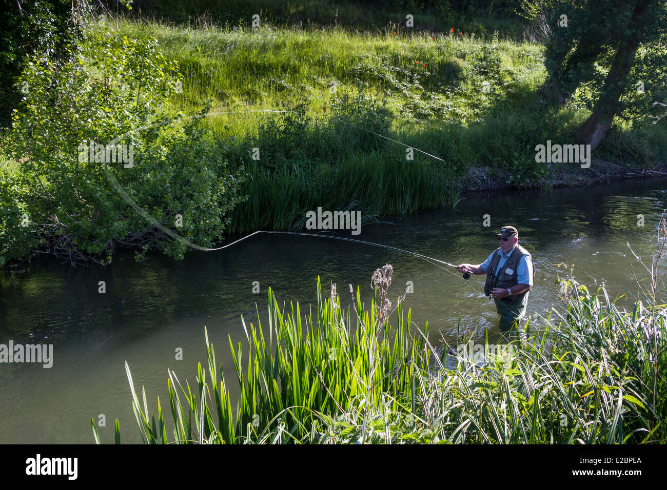 Trout fishing, River Wylye, Wiltshire, England Stock Photo - Alamy