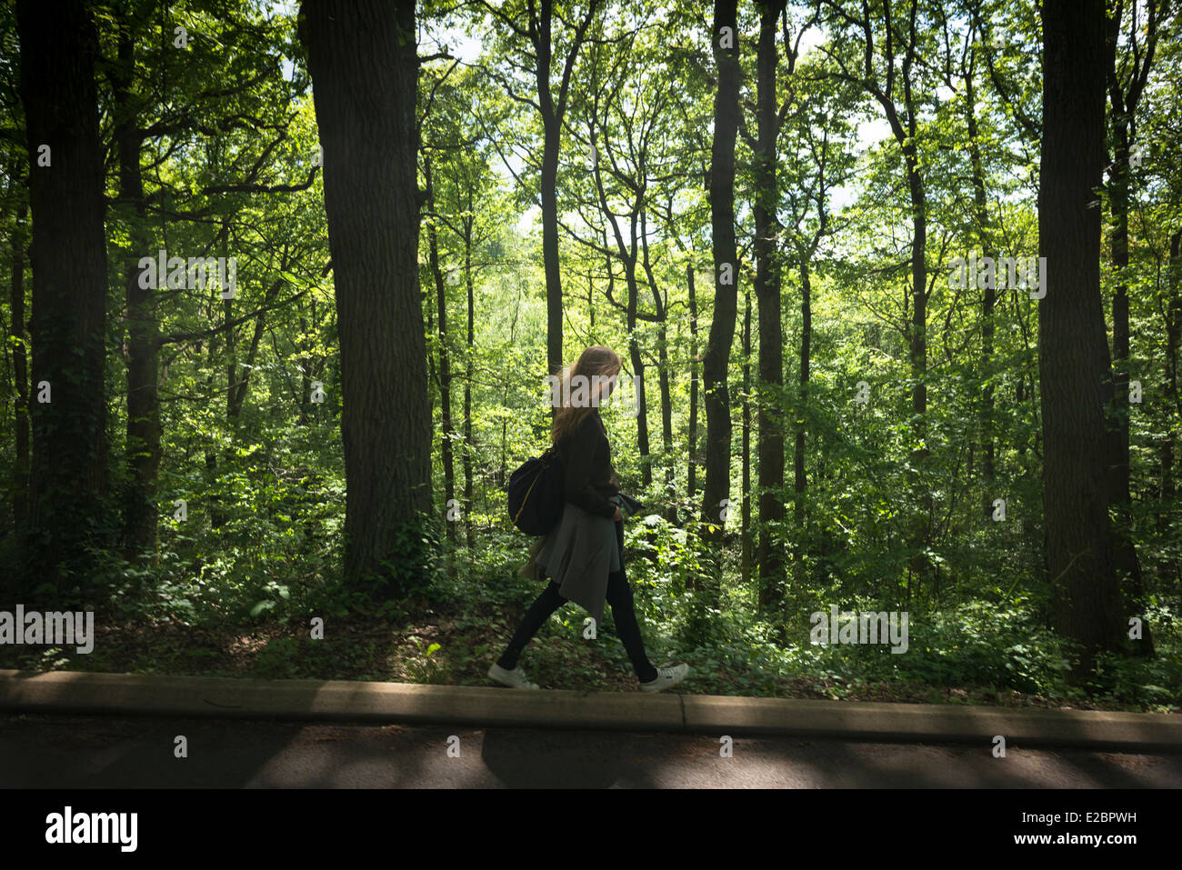 the "Parc naturel régional de la Haute Vallée de Chevreuse" it's one of ...