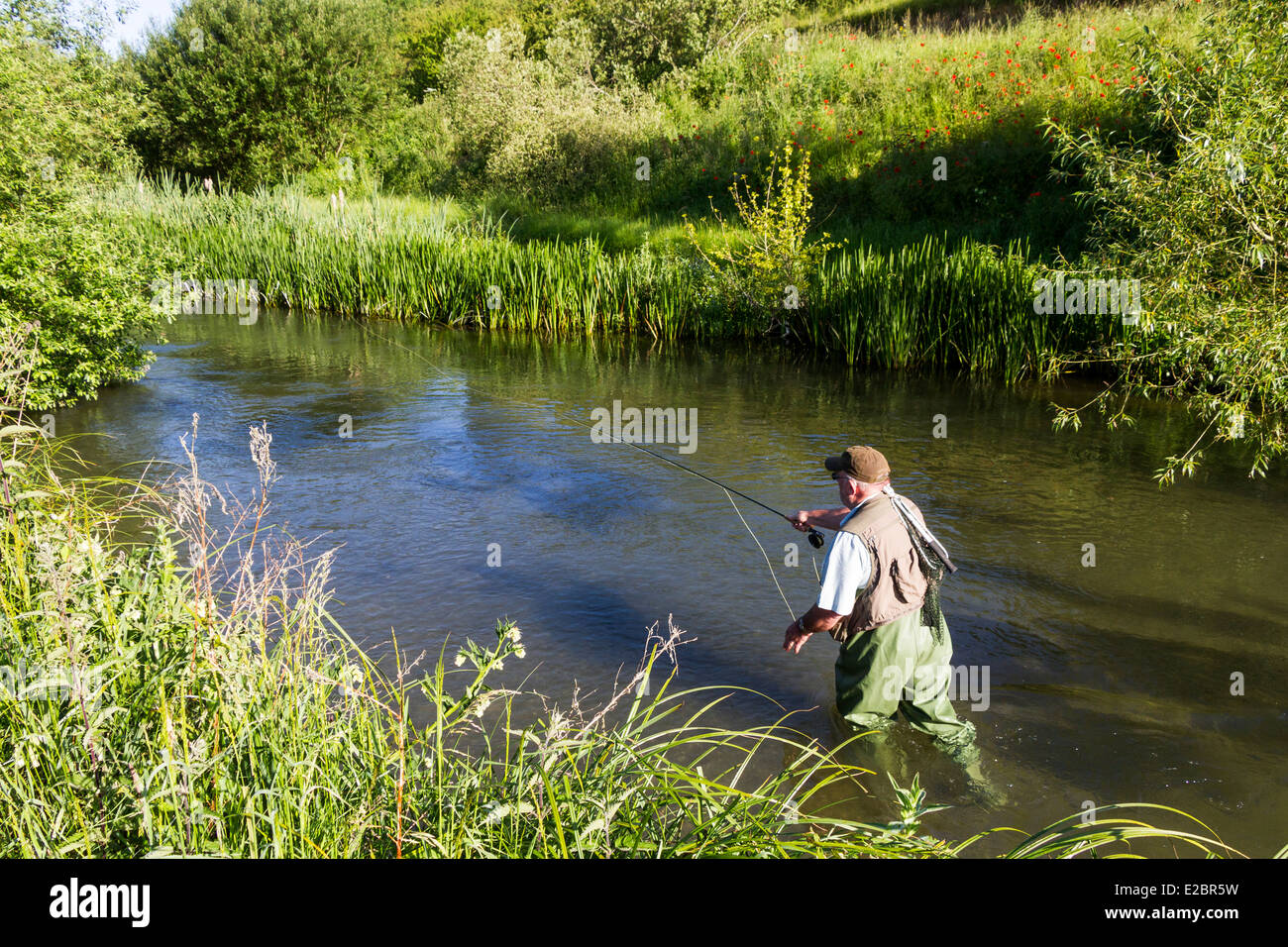 Trout fishing, River Wylye, Wiltshire, England Stock Photo - Alamy
