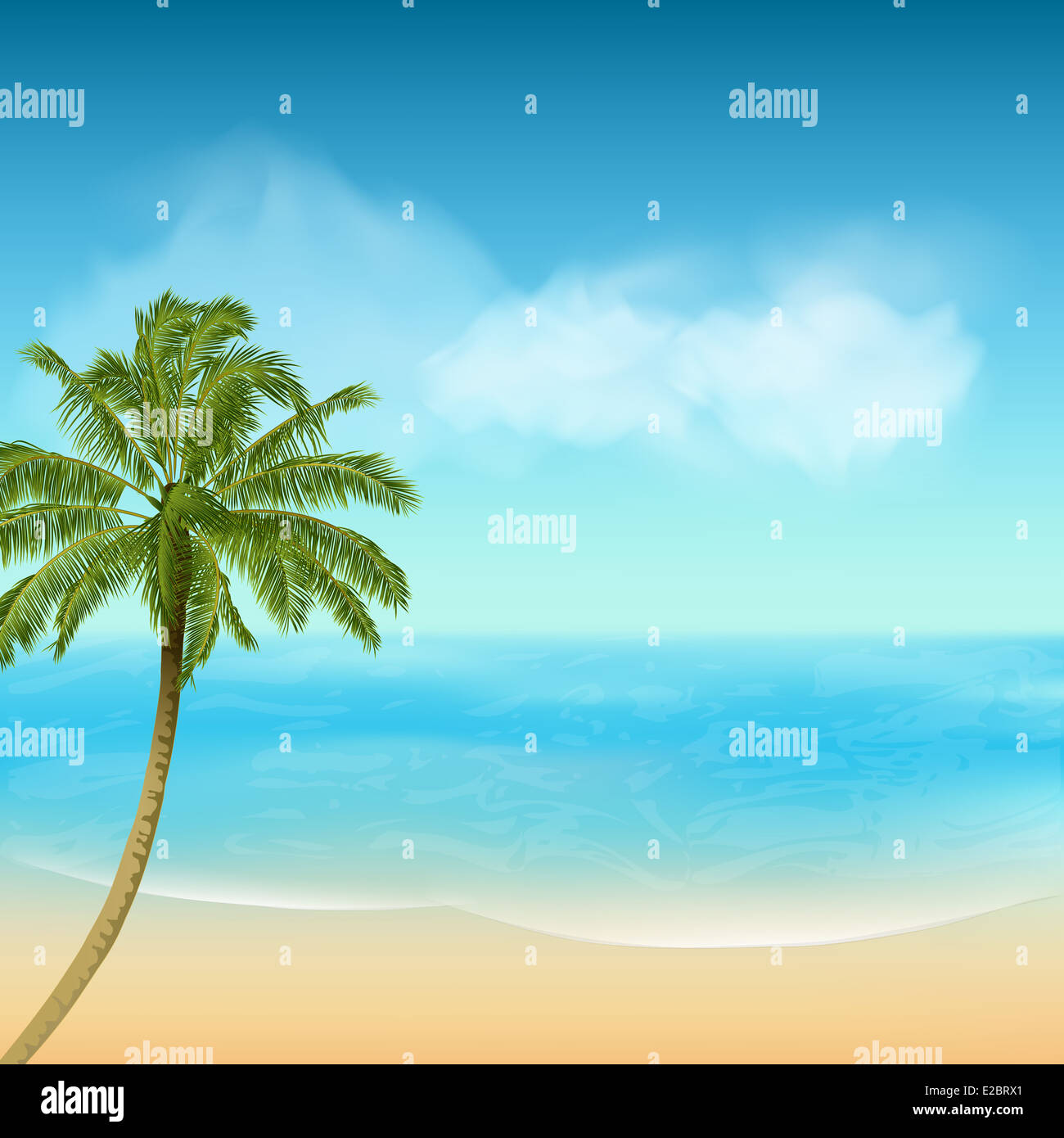 Tropical Palm Tree and Beach Landscape Stock Photo - Alamy
