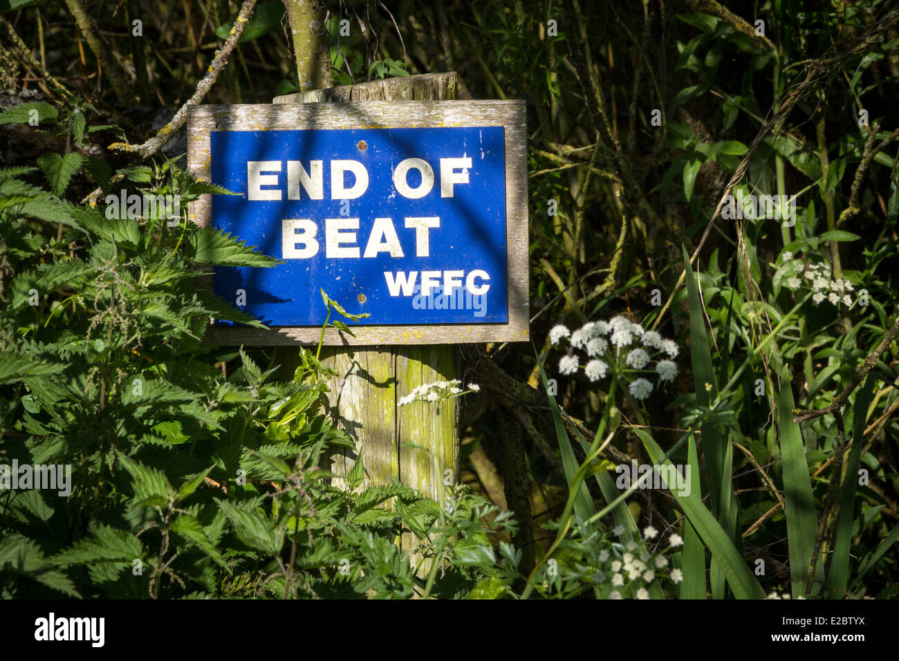 End of fishing hi-res stock photography and images - Alamy