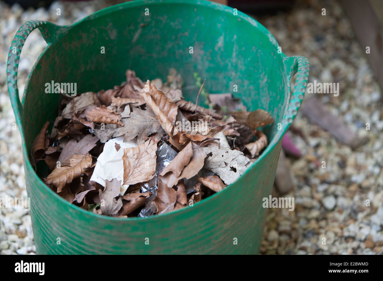 dead leaves in a plastic bucket Stock Photo - Alamy
