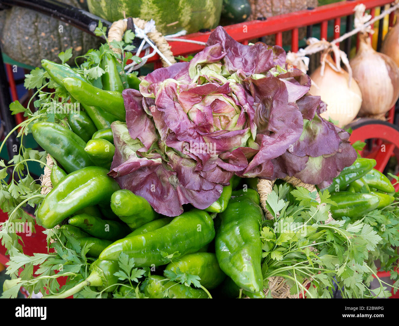 Benidorm market hi-res stock photography and images - Alamy