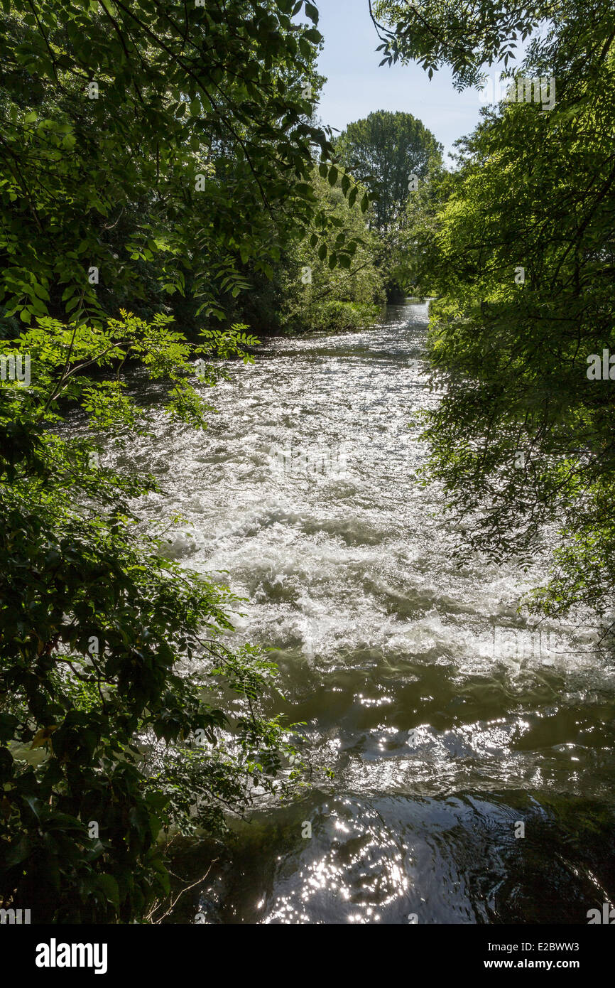 Stream weir hi-res stock photography and images - Alamy
