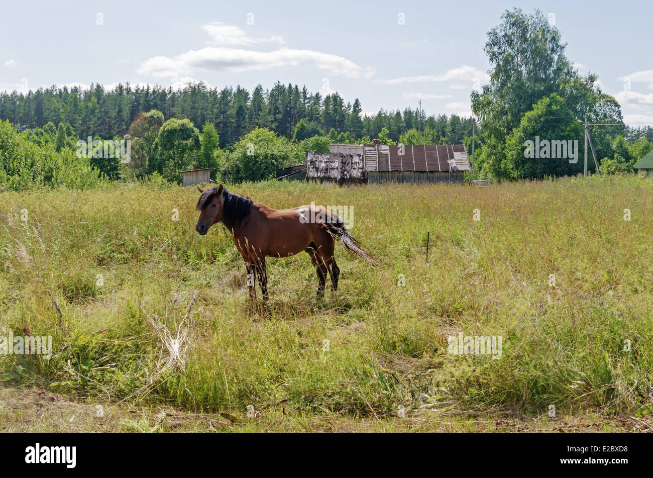 Old fashioned rope making hi-res stock photography and images - Alamy