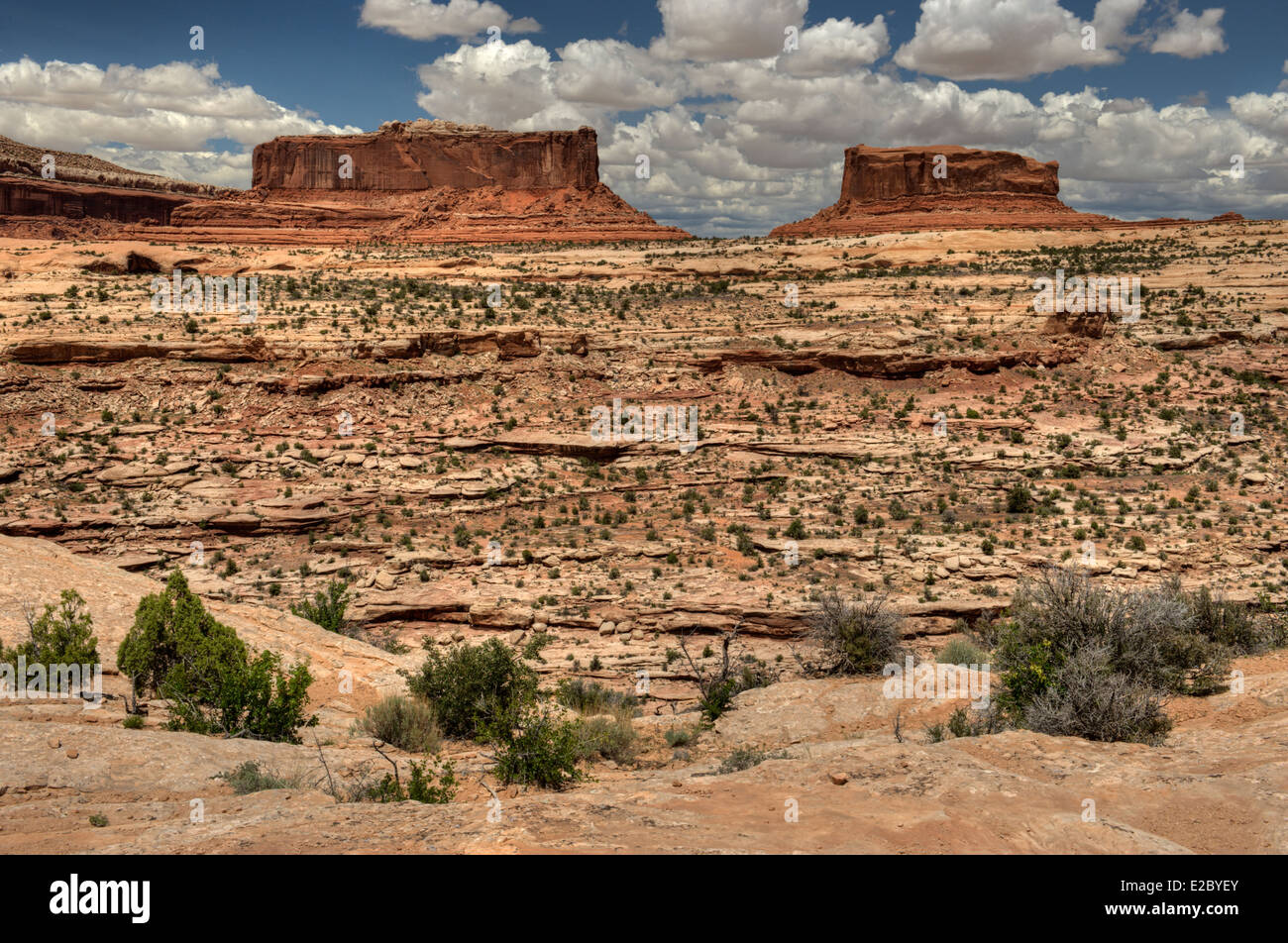 "The Merrimack" (left) and "The Monitor" (right); named for their ...