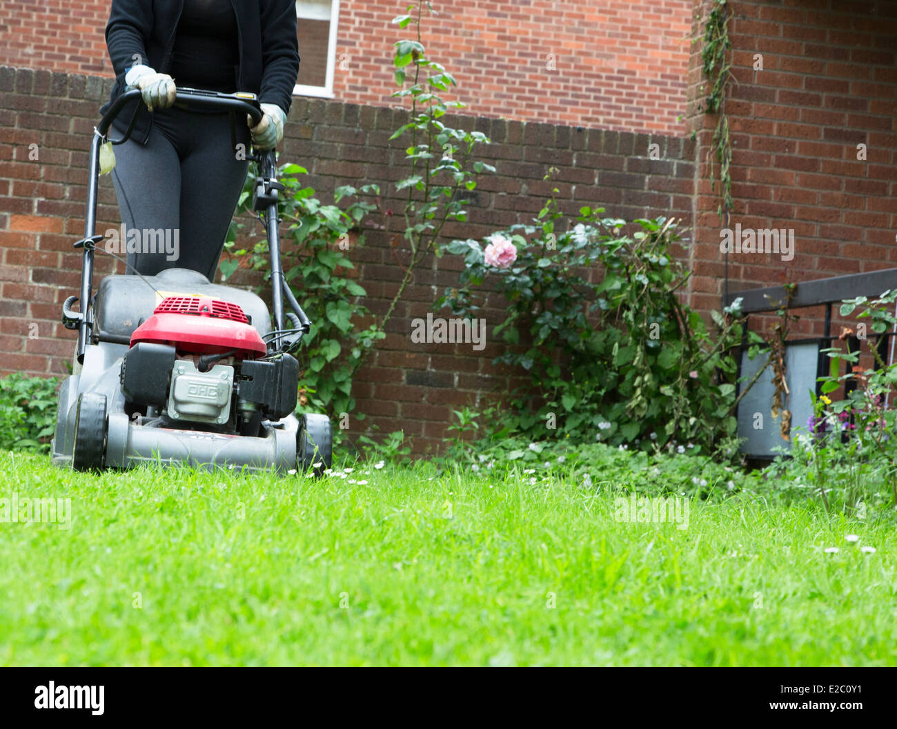 mowing the lawn Stock Photo - Alamy