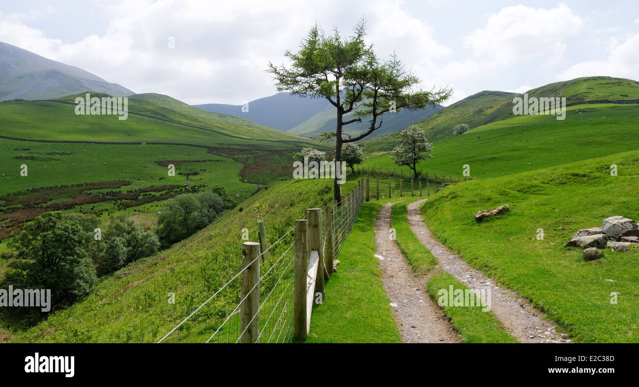 Barkbethdale near Skiddaw Stock Photo - Alamy
