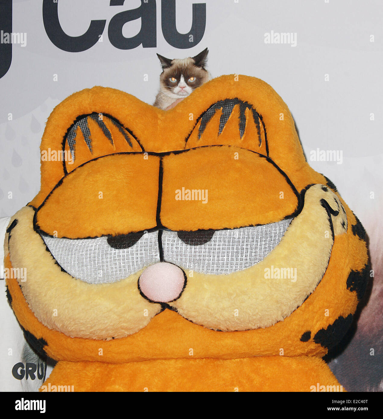 Las Vegas, Nevada, USA. 18th June, 2014. Grumpy Cat and cartoon ...