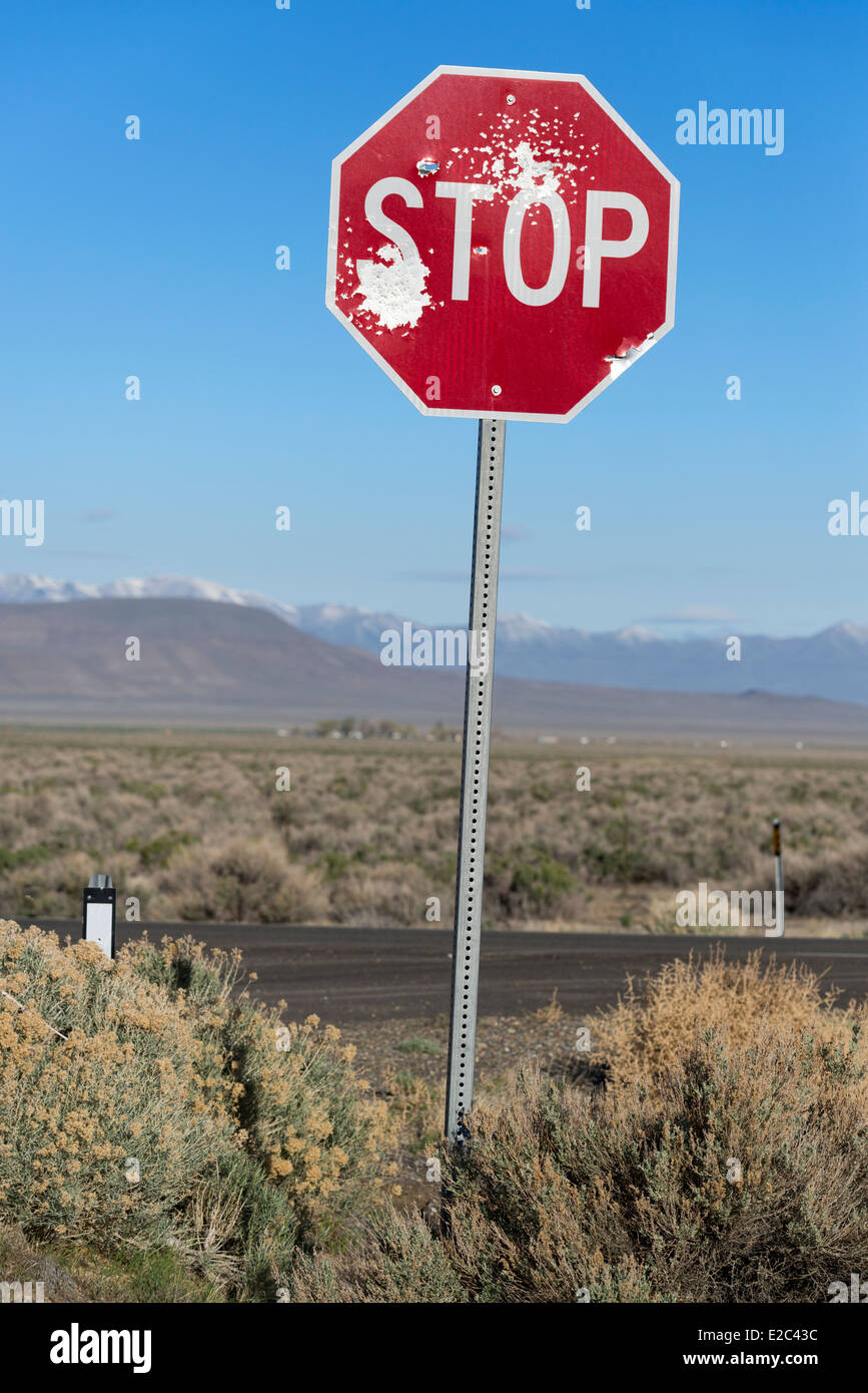 Bullet scarred stop sign in the Nevada desert Stock Photo - Alamy