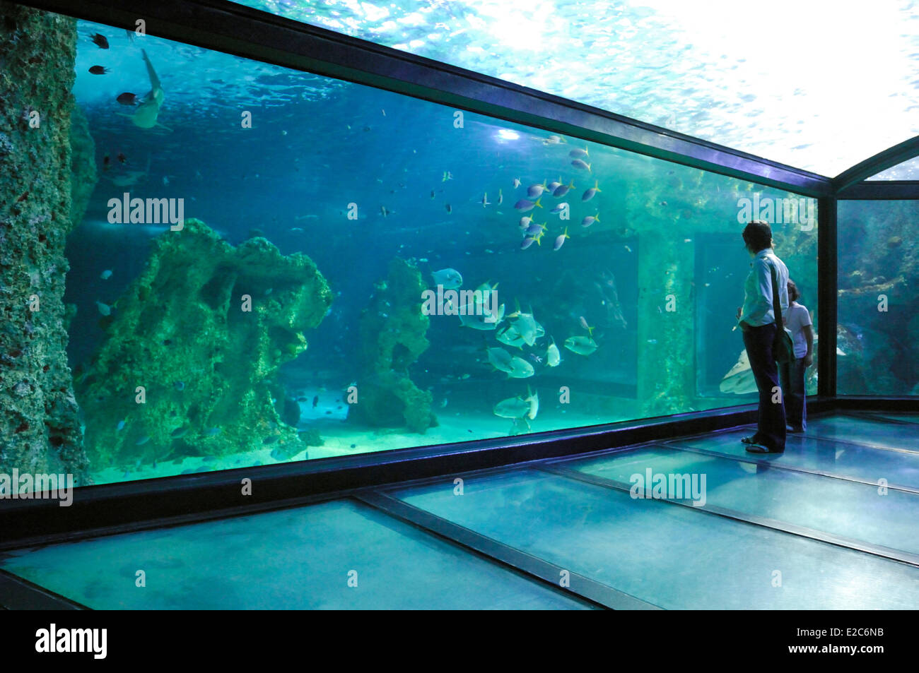 The sydney aquarium hi-res stock photography and images - Alamy