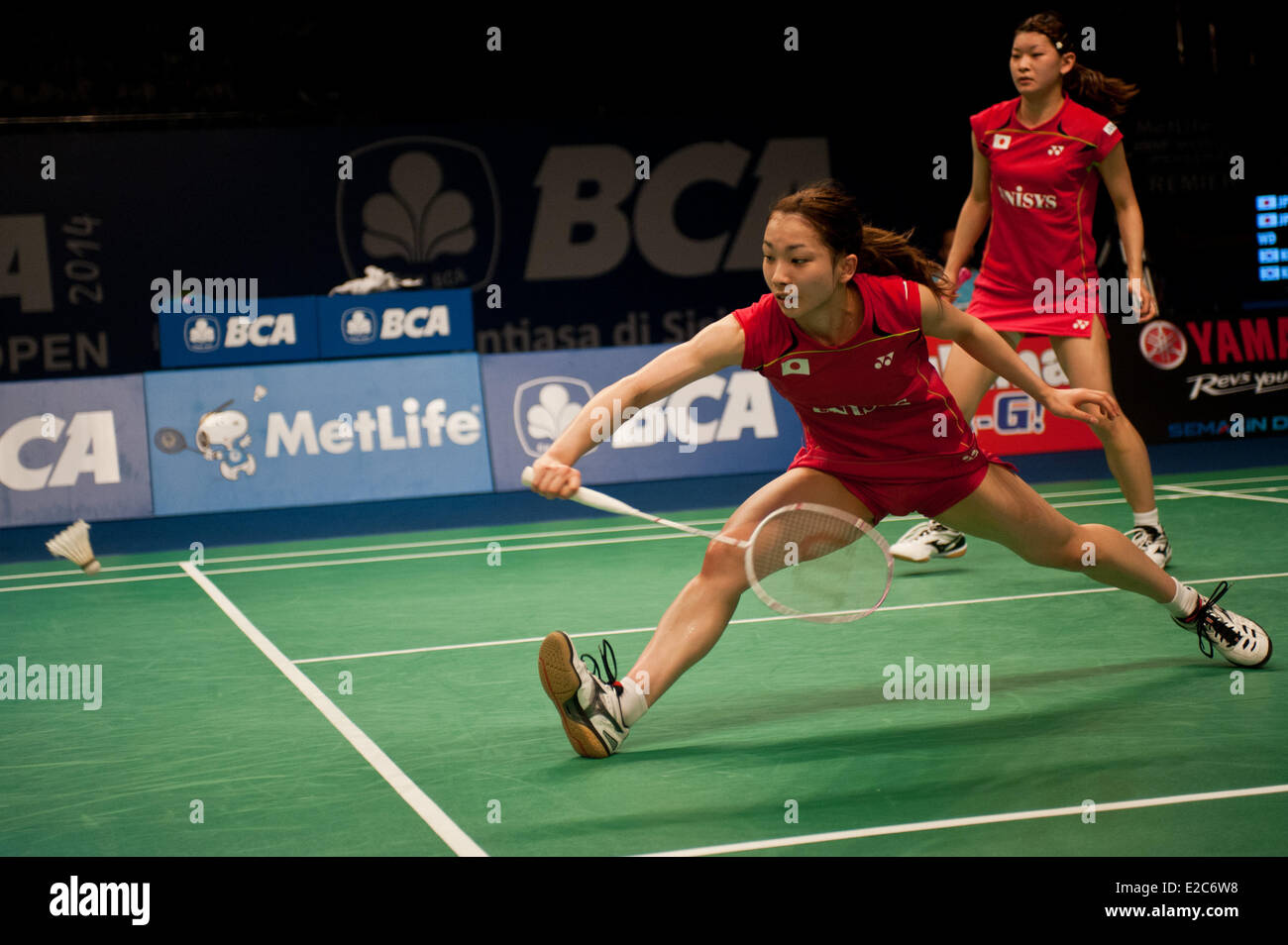 South kim ha na front hi-res stock photography and images - Alamy