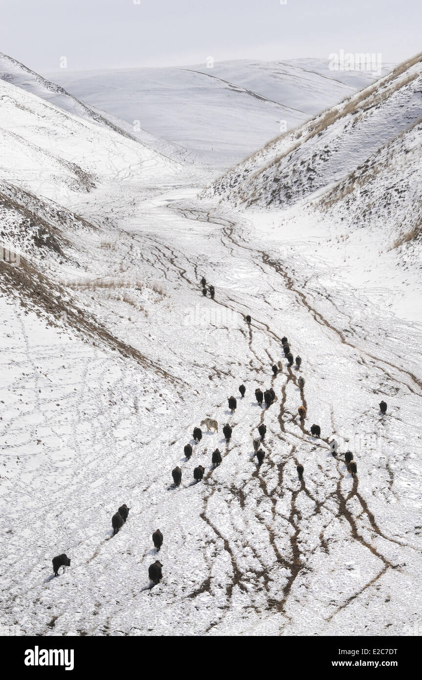 Xiahe county hi-res stock photography and images - Alamy