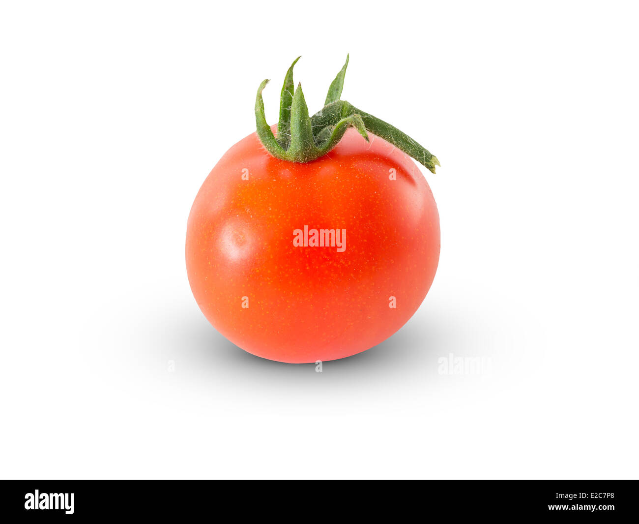 Entire tomato with shadow Stock Photo - Alamy