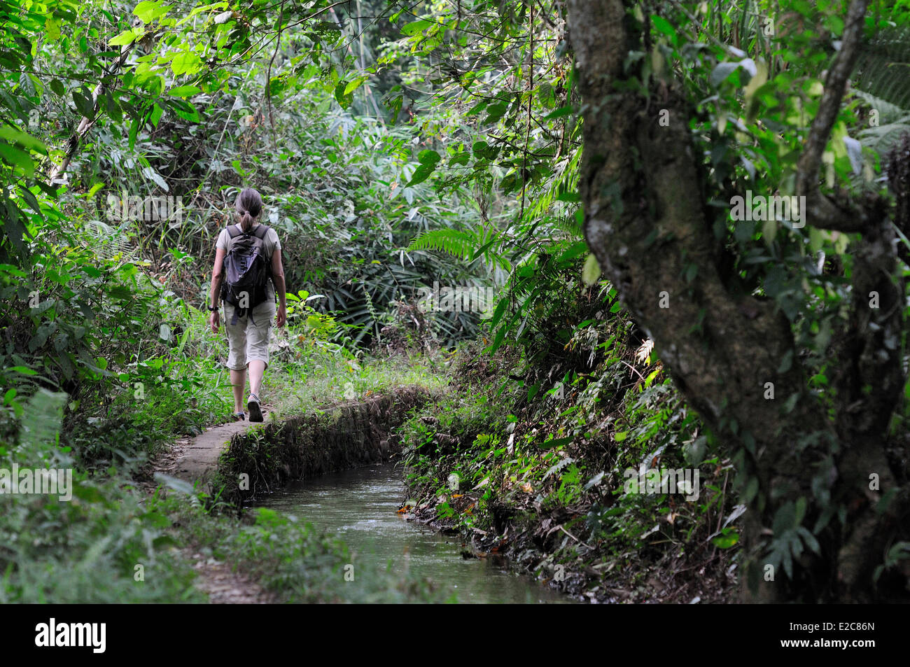 Indonesia, Bali, Ubud, hiking in the countryside Stock Photo - Alamy